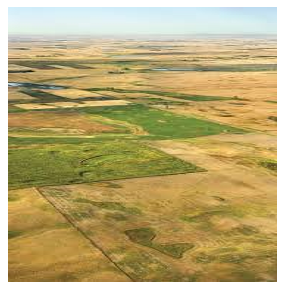 Use of spot heights to achieve accurate depth of excavation in building ...