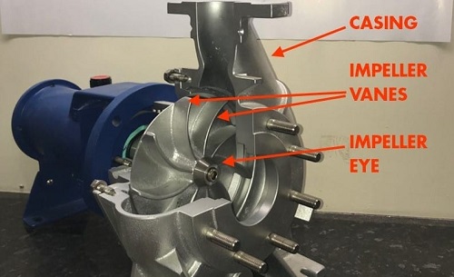 Common types of pumps used for water movement